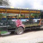Private YS Falls Tour from Montego Bay - FAQ about the Private YS Falls Tour from Montego Bay