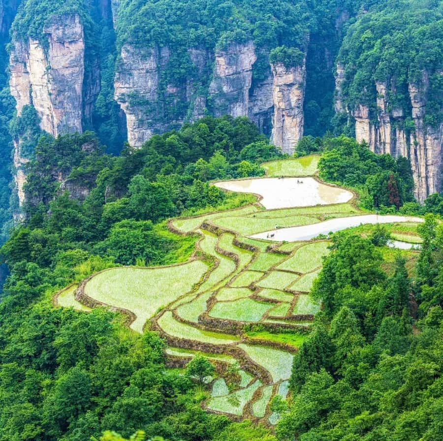 Private Zhangjiajie: Glass Bridge, Terraces & Avatar - Who Should Consider This Tour?