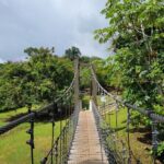 Private Ziplining Tour in Puerto Rico - Does the Price Reflect the Value?
