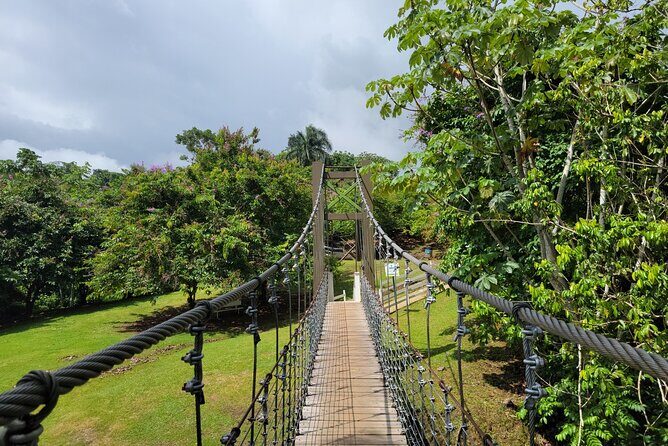 Private Ziplining Tour in Puerto Rico - Does the Price Reflect the Value?