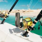 Pro Series Full Day Deep Sea Fishing on Angler Management - What the Tour Includes and How it Works