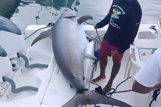 Pro Series Full Day Deep Sea Fishing with Wahooters - The Experience: What’s Included and What to Know