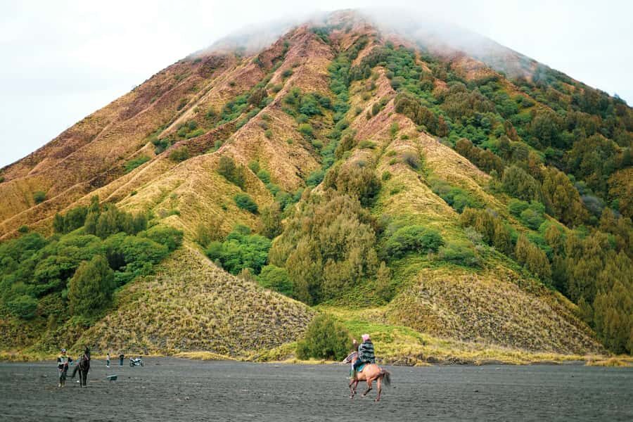 Probolinggo: Bromo Volcano Sunrise Tour with Jeep Ride - Why This Tour Offers Great Value