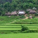 Pu Luong Afternoon Trek - Bat Cave, Rice Fields & Village Life - The Experience in Context