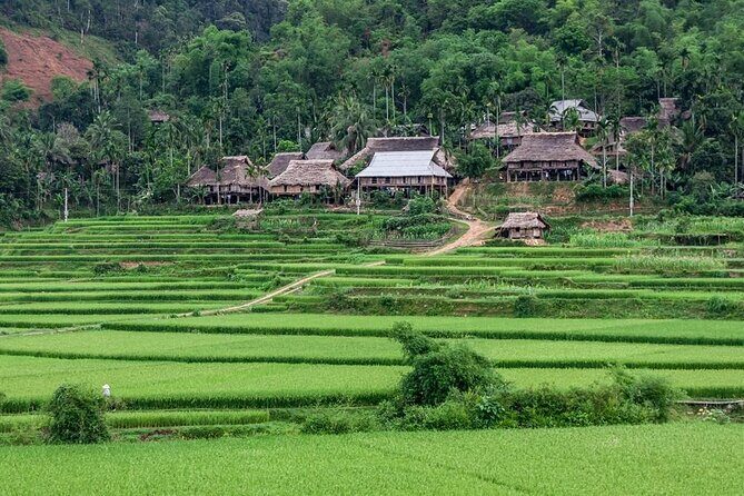 Pu Luong Afternoon Trek - Bat Cave, Rice Fields & Village Life - The Experience in Context