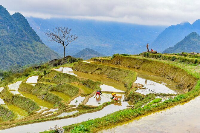 Pu Luong Full Day Trek Terraces Weaving and Waterfall Lunch - Practical Details and Tips