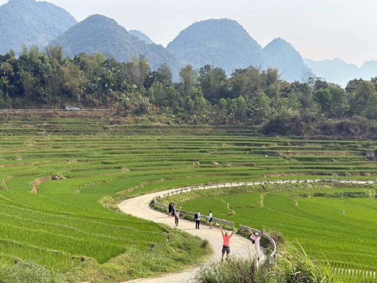 Pu Luong: Half-Day Trekking Tour with Local Guide - Who Should Consider This Tour?