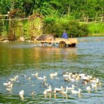 PU LUONG Nature Reserve and NINH BINH - 3 Days/2Nights Group Tour - FAQ