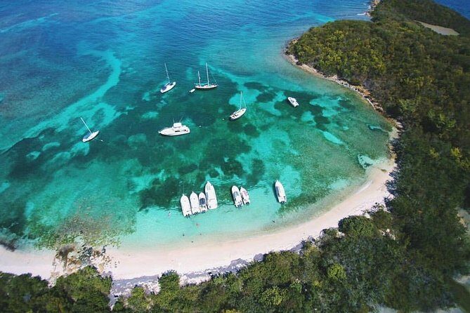 Public or Private Boat Trip to Icacos & Palomino - Key Points