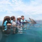 Puerto Aventuras: Dolphin Connection & Manatee Interaction - The Experience from a Traveler’s Perspective