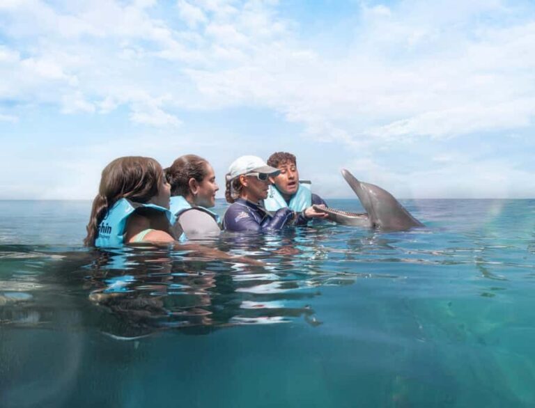 Puerto Aventuras: Dolphin Connection & Manatee Interaction - The Experience from a Traveler’s Perspective