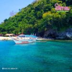 Puerto Galera: Coral Reefs & Island Snorkeling Experience - The Value and Who Will Love It