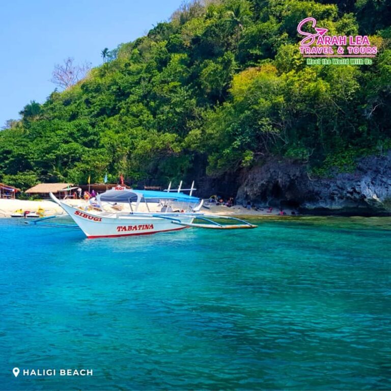 Puerto Galera: Coral Reefs & Island Snorkeling Experience - The Value and Who Will Love It