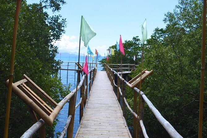 Puerto Galera Snorkeling Activities - A Closer Look at the Tour Experience