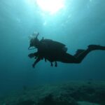 Puerto Morelos: 2-Tank Dive in a Protected Marine Park - Who Will Enjoy This Tour?