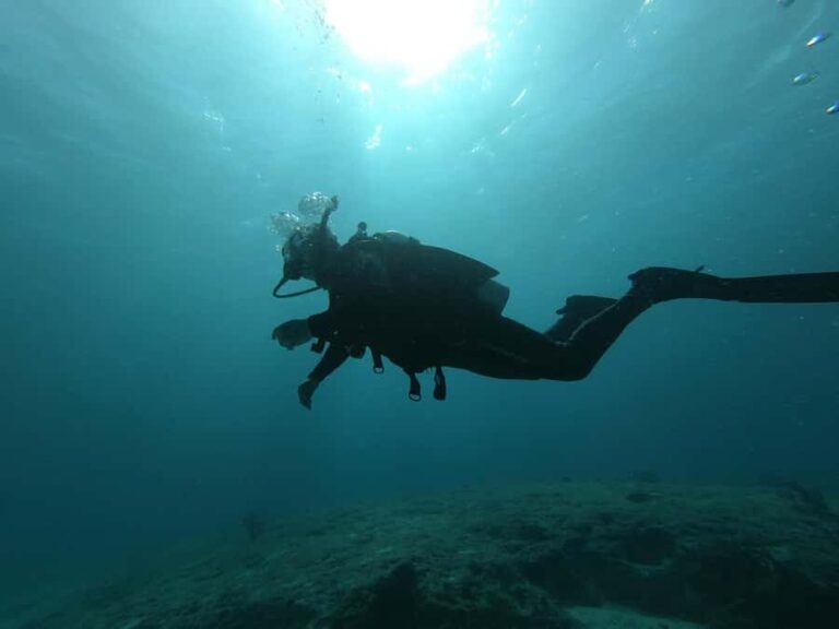 Puerto Morelos: 2-Tank Dive in a Protected Marine Park - Who Will Enjoy This Tour?