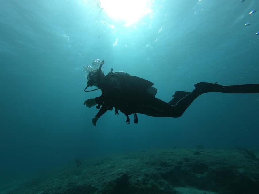 Puerto Morelos: 2-Tank Dive in a Protected Marine Park - Who Will Enjoy This Tour?