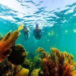 Puerto Morelos: Private Snorkeling Tour with Hotel Pickup - Key Points
