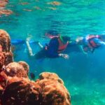 Puerto Morelos Snorkeling: Discover Vibrant Underwater Life - What You Need to Know Before Booking