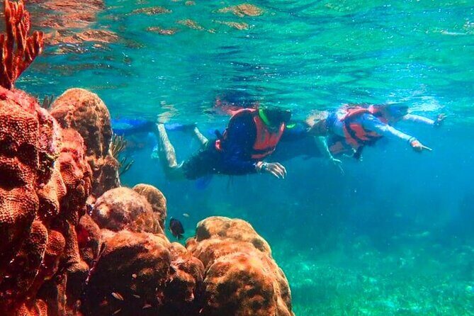 Puerto Morelos Snorkeling: Discover Vibrant Underwater Life - What You Need to Know Before Booking