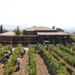 Puerto Nuevo & Valle de Guadalupe Tour with Lunch and Wine - The Sum Up: Who Will Appreciate This Tour the Most?