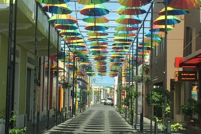 Puerto Plata Airport to Sosua - What to Expect at the Airport