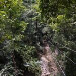 Puerto Plata/Amber Cove: Zipline and Waterfalls with Lunch - What Makes This Tour Special