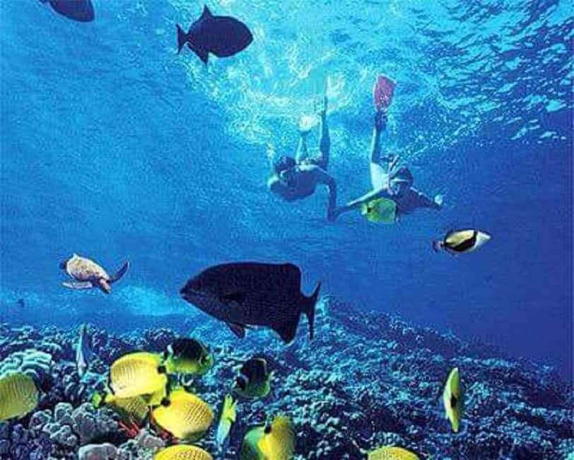 Puerto Plata: Cayo Arena Tour with Snorkeling and Mangroves - An Authentic Caribbean Escape: What to Expect