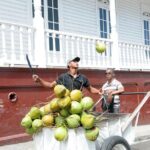 Puerto Plata City Tour - What Travelers Say: Authentic Perspectives