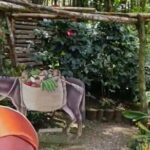 Puerto Plata City Tour with Lunch, Mountain and Factory Visits - Value and Practical Tips