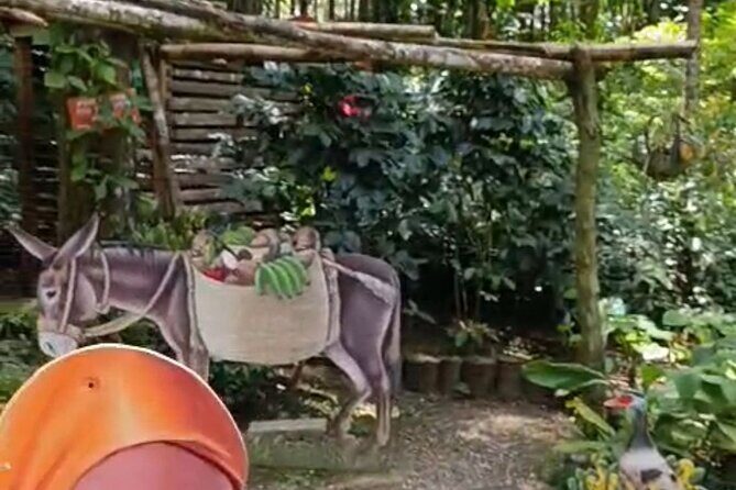 Puerto Plata City Tour with Lunch, Mountain and Factory Visits - Value and Practical Tips