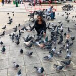 Puerto Plata Cultural City Tour  Half Day Experience - Who Will Appreciate This Tour?