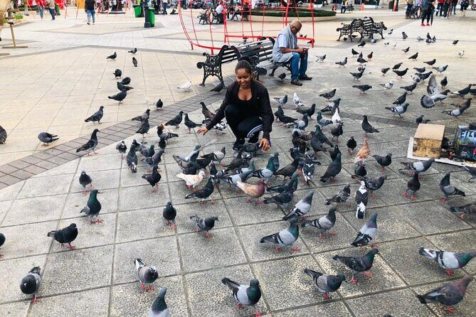 Puerto Plata Cultural City Tour  Half Day Experience - Who Will Appreciate This Tour?