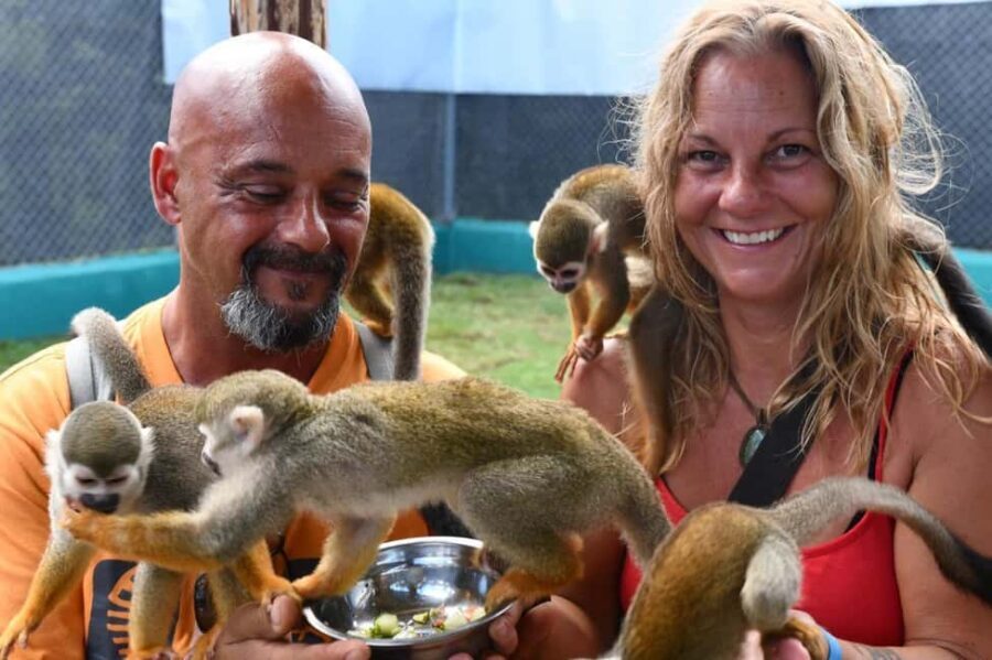 Puerto Plata: Cultural Tour & Ethical Monkey Observation - Who Should Consider This Tour?