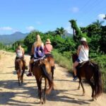 Puerto Plata: Damajagua Waterfalls, Zipline & Horse Ride - The Waterfalls: Swimming, Sliding, and Jumping