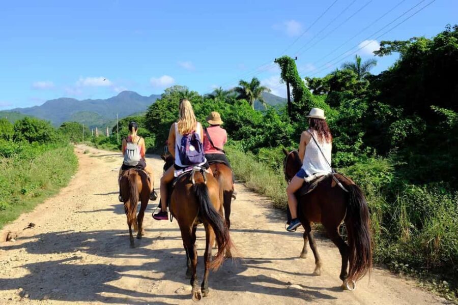Puerto Plata: Damajagua Waterfalls, Zipline & Horse Ride - The Waterfalls: Swimming, Sliding, and Jumping