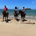 Puerto Plata: Horseback Riding Tour - The Itinerary: What Happens During the Tour