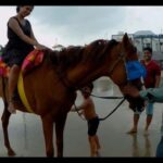 Puerto Plata: Horseback Riding Tour with Beach Views - Who Will Love This Tour?