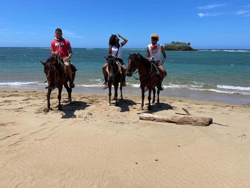 Puerto Plata: Horseback Riding Tour - The Itinerary: What Happens During the Tour