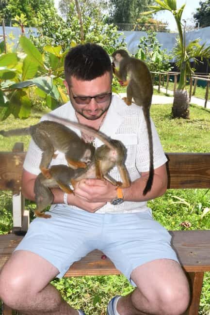 Puerto Plata: Monkey Tour and a Glimpse of Cows and Pigs - Detailed Breakdown of the Itinerary