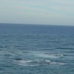 Puerto Plata: Monkey Tour and Dominican History and Culture City Tour - Detailed Breakdown of the Itinerary