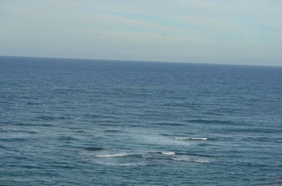 Puerto Plata: Monkey Tour and Dominican History and Culture City Tour - Detailed Breakdown of the Itinerary