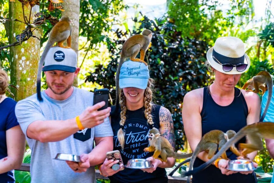 Puerto Plata: Monkeyland and Zip-Line Adventure - Authentic Feedback from Travelers