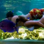 Puerto Plata: Ocean World Adventure Park Day Pass - What to Keep in Mind