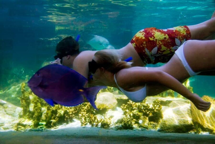 Puerto Plata: Ocean World Adventure Park Day Pass - What to Keep in Mind