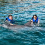 Puerto Plata: Ocean World Adventure Park Swim with Dolphins - What’s Included and What Costs Extra?