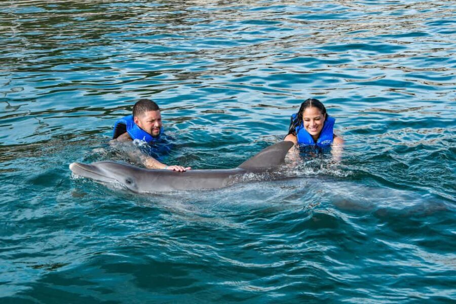 Puerto Plata: Ocean World Adventure Park Swim with Dolphins - What’s Included and What Costs Extra?