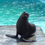 Puerto Plata Ocean World Tickets - Final Thoughts