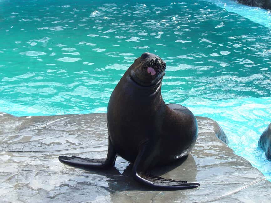 Puerto Plata Ocean World Tickets - Final Thoughts