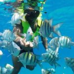 Puerto Plata Shore Excursion, Snorkeling tour & Sosua Beach Day - Why Choose This Tour?